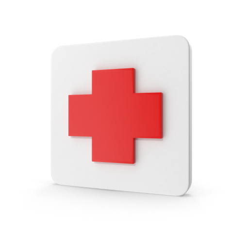 Pasha Insurance online